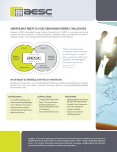 Core Practice Area Details | AESC Inc